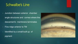 Gonioscopy | PPTX