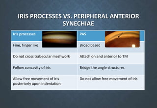 Iris Processes