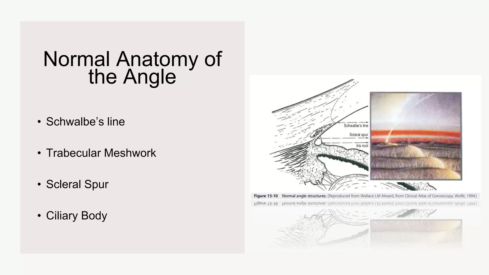 Gonioscopy | PPTX