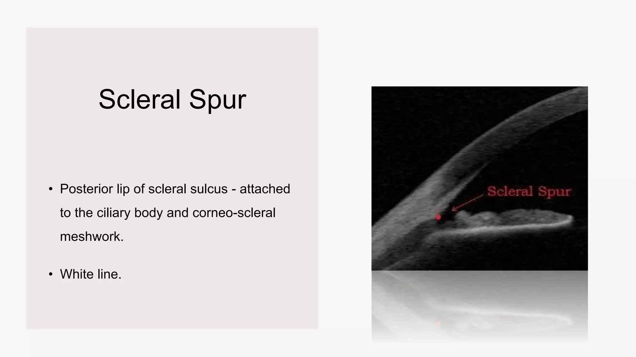 Gonioscopy Pptx