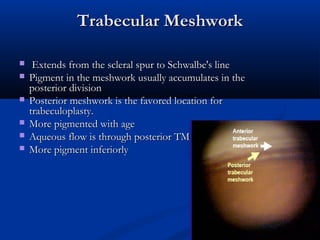 Gonioscopy presentation | PPT