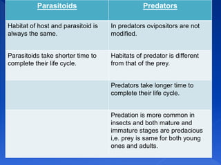 Goniozus nephantidis | PPTX