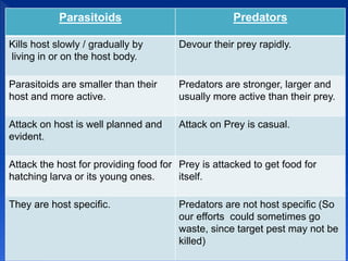 Goniozus nephantidis | PPTX