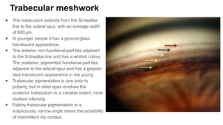 goniscopy.. power point presentation for opthalmology resident | PPTX