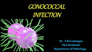 Gonococcal infection | PPTX