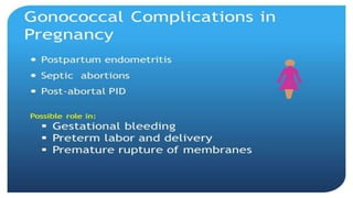 Gonococcal infection | PPTX
