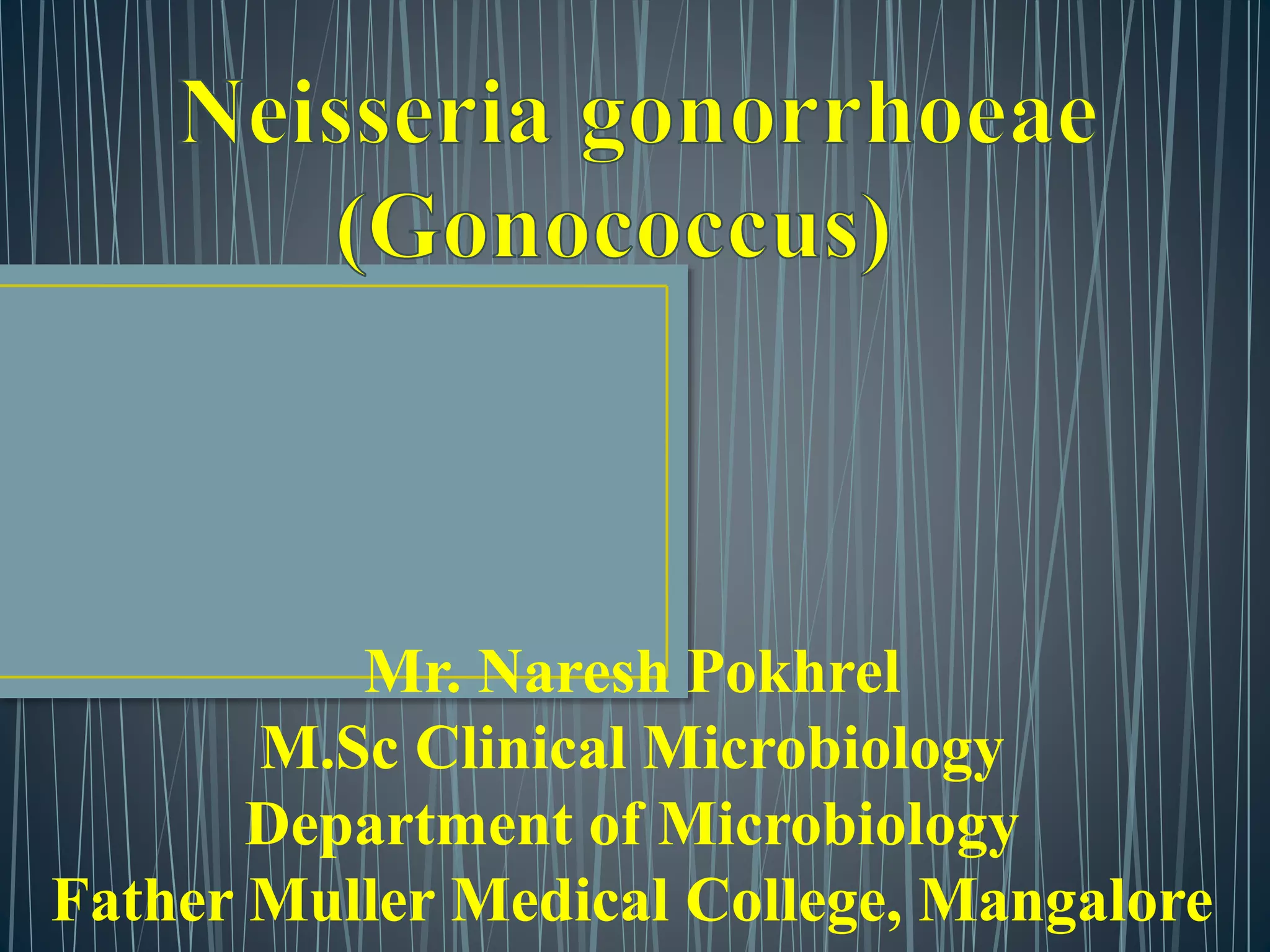 Gonococci | PPTX