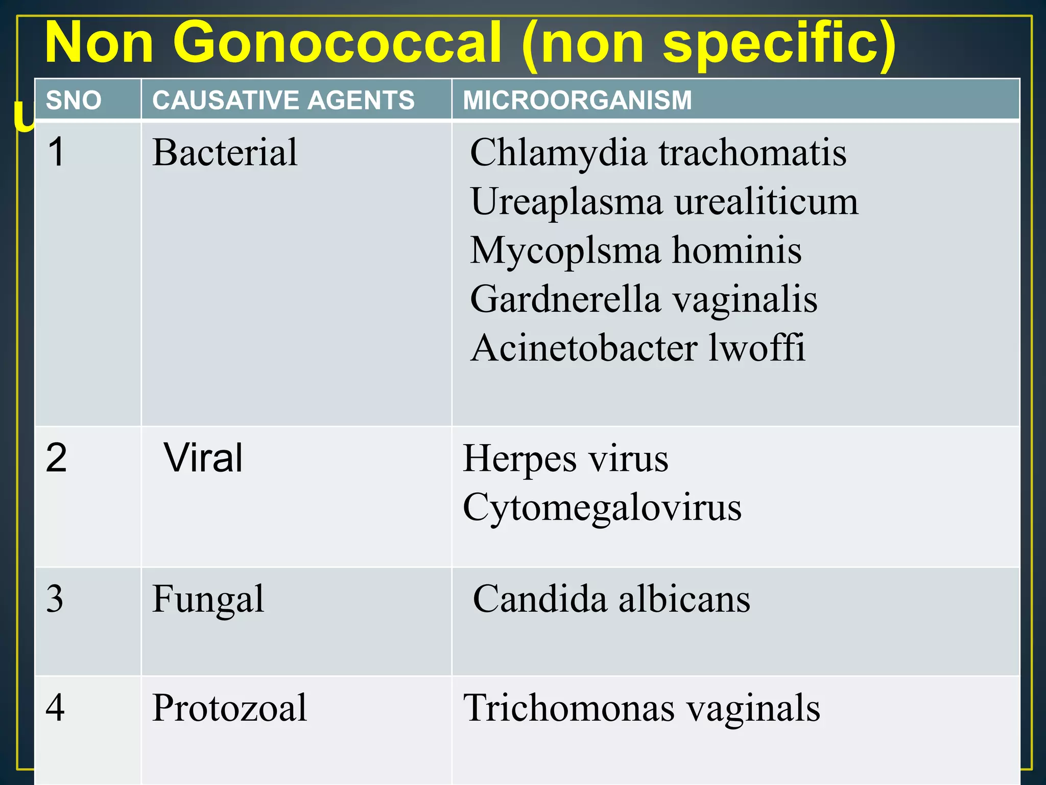 Gonococci | PPTX