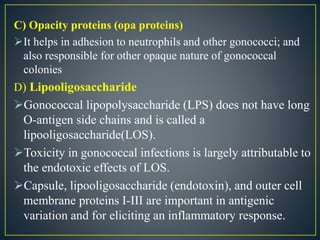 Gonococci | PPTX