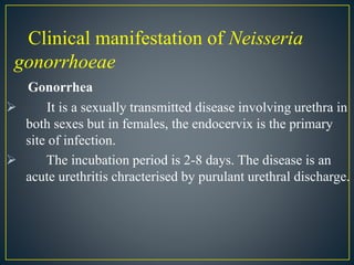 Gonococci | PPTX