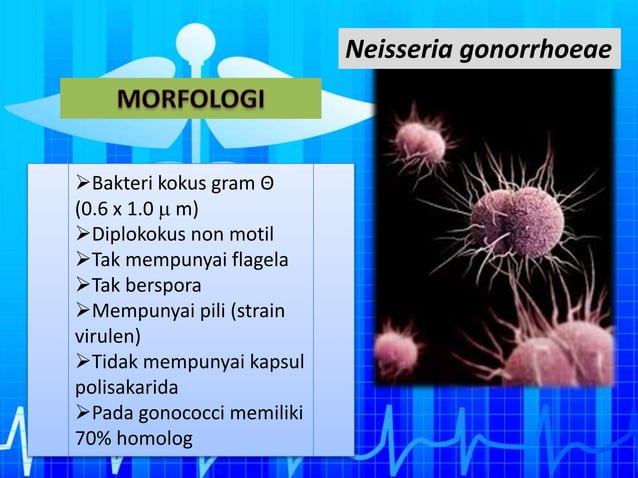 Gonorrhea | PPTX