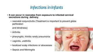 Gonorrhea converted | PPT