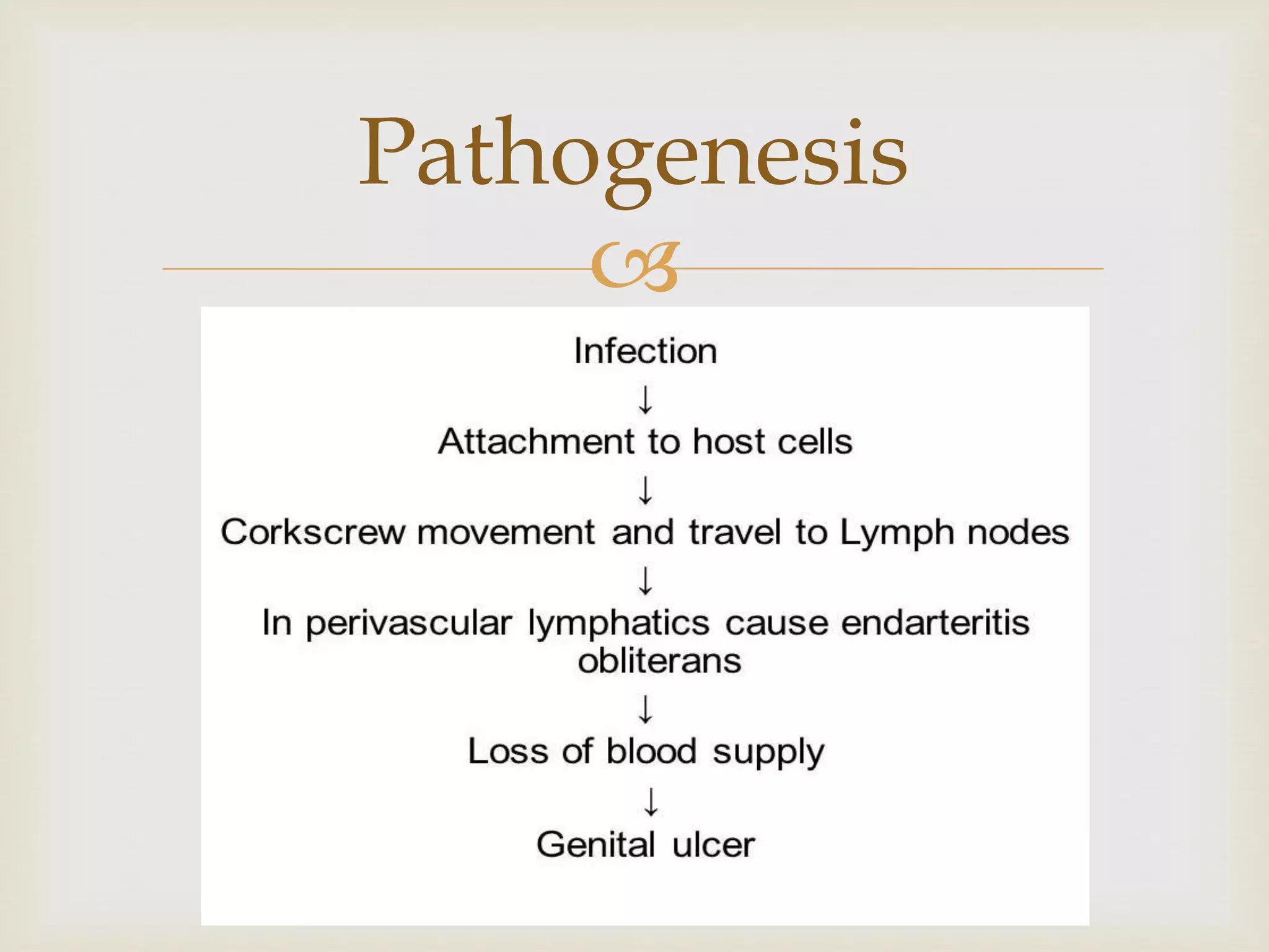 Gonorrhea (1) | PPTX