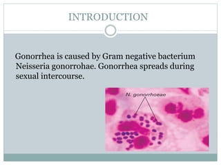 GONORRHEA 1.pptx