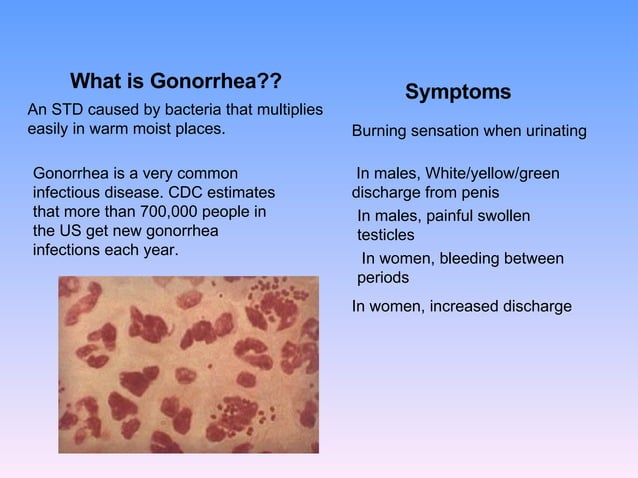 Gonorrhea Danielle Welch2 | PPT