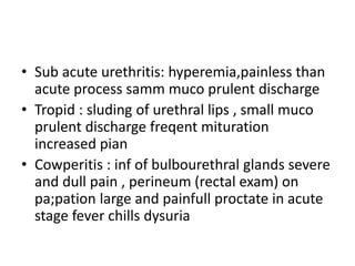 Gonorrhea dermatology | PPTX