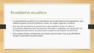 El ecosistema | PPTX