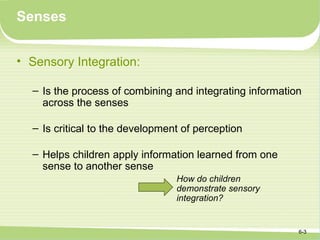 Infants, Toddlers & Caregivers Ch 6 | PPT