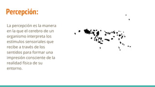 Percepcion Visual | PPTX