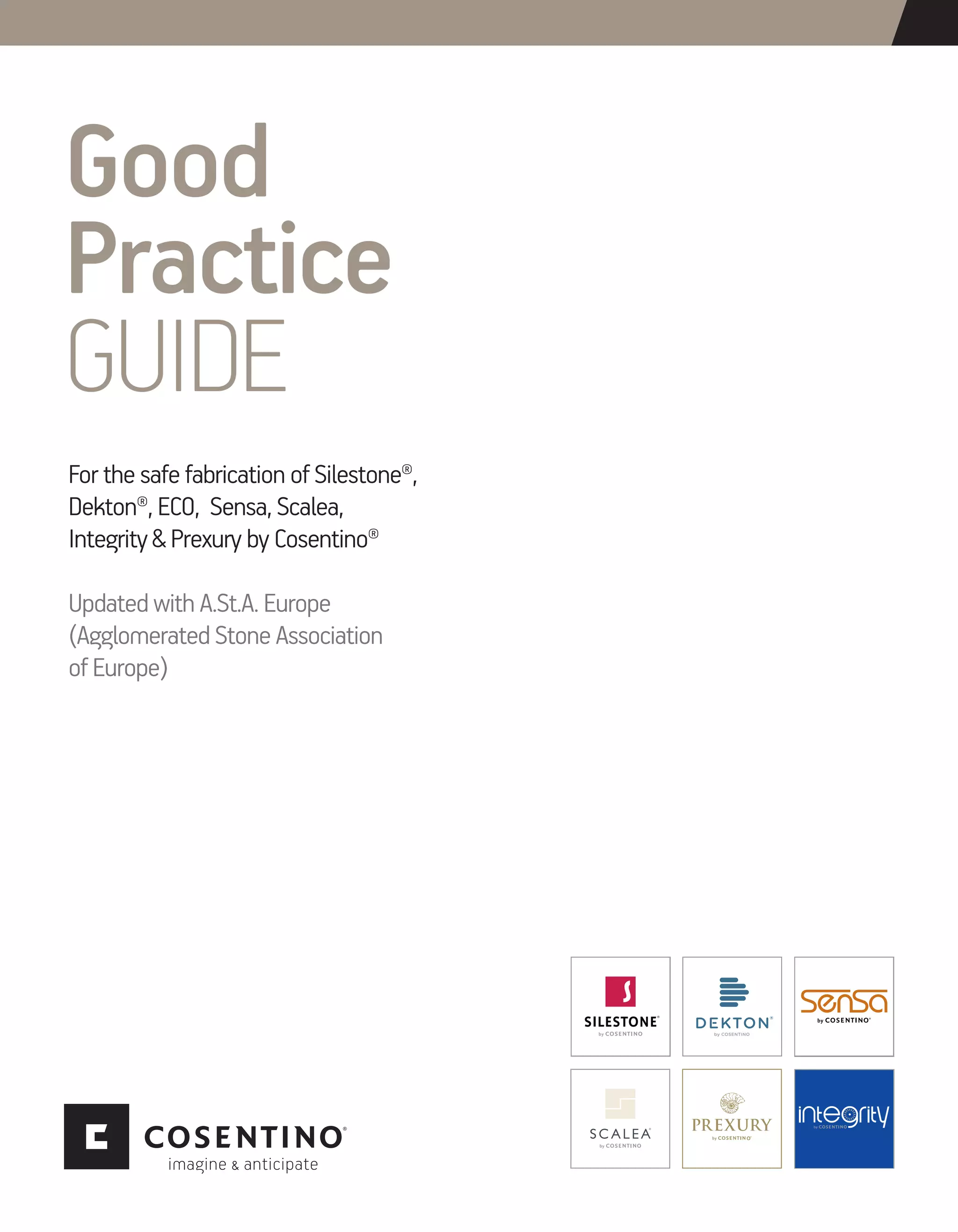 Good practices-guide-en | PDF
