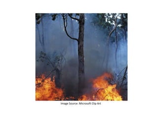 Good and bad fires | PPT