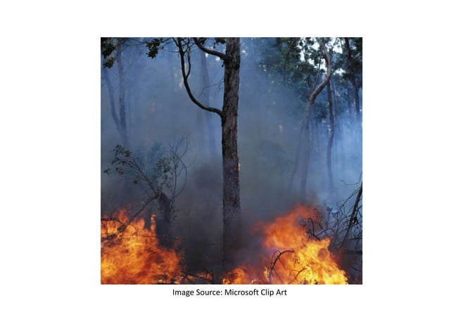 Good and bad fires | PPTX