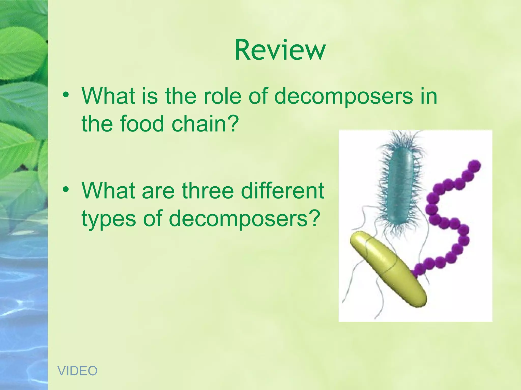 Good and bad microorganisms | PPT