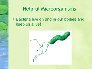 Good and bad microorganisms | PPT