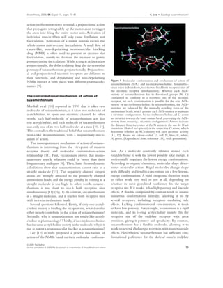 Goodbye suxamethonium! anaesthesia march 2009 | PDF