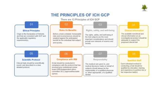 Good Clinical Practice Guidelines Ich Gcp E6 Ppt