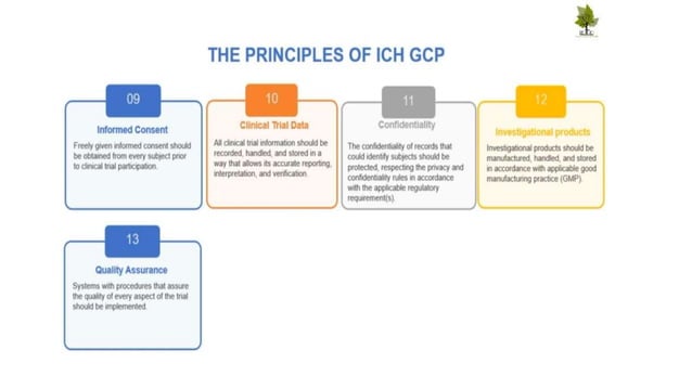 Good Clinical Practice Guidelines Ich Gcp E6 Ppt