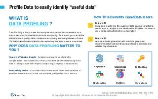 Data Lineage & Data Profiling Solutions | PPT