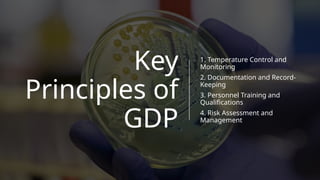 Good Distribution Practice (GDP) in the UK.pptx