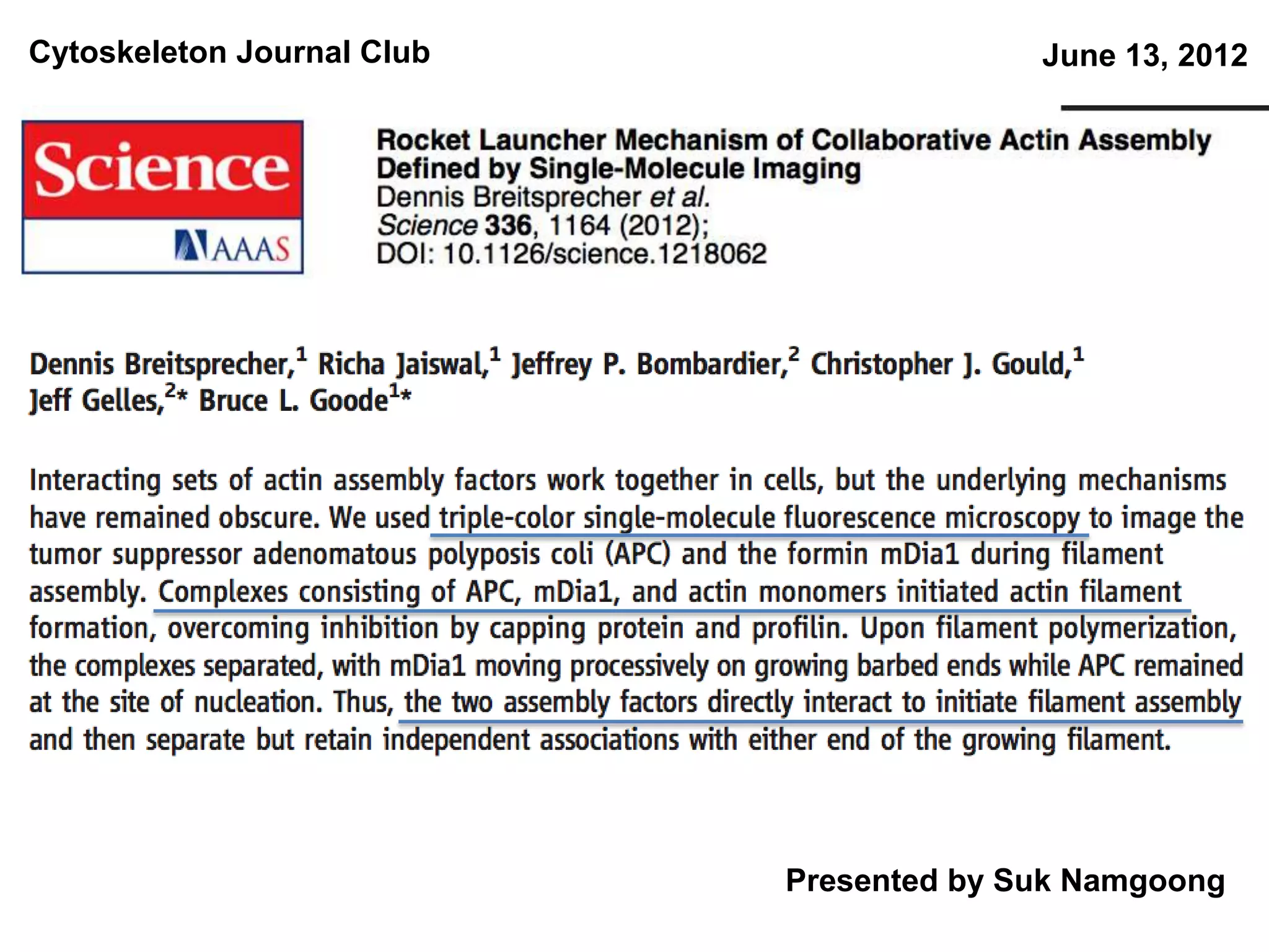 Rocket Launcher Mechanism of Collaborative Actin Assembly Defined by ...