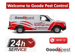 Goode Pest Control | PPTX