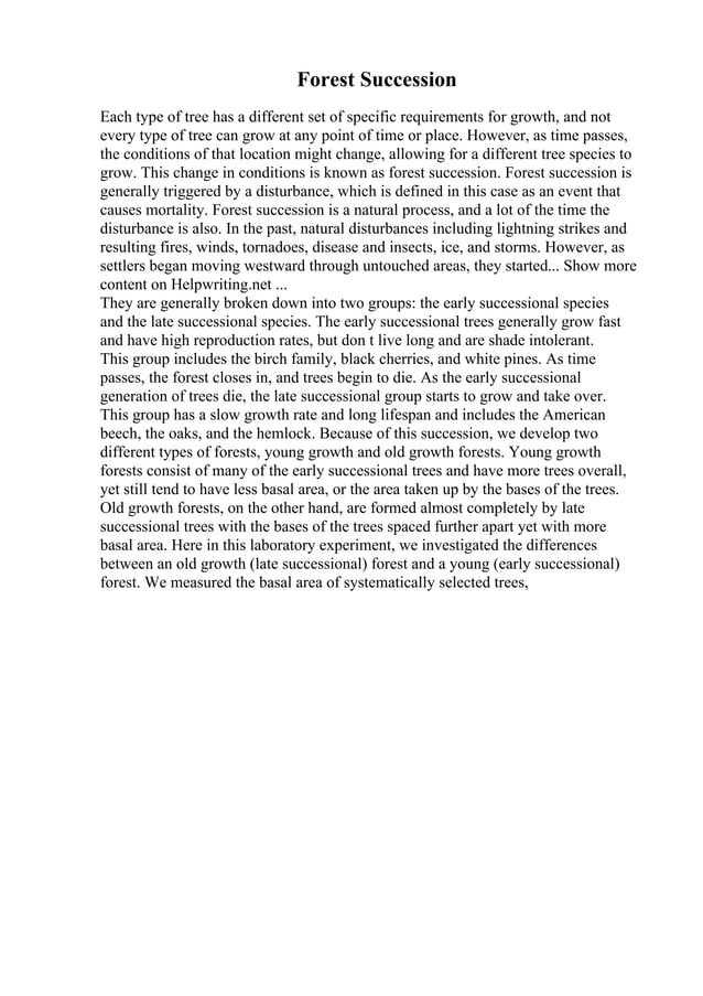 Good First Sentences For Essays | PDF