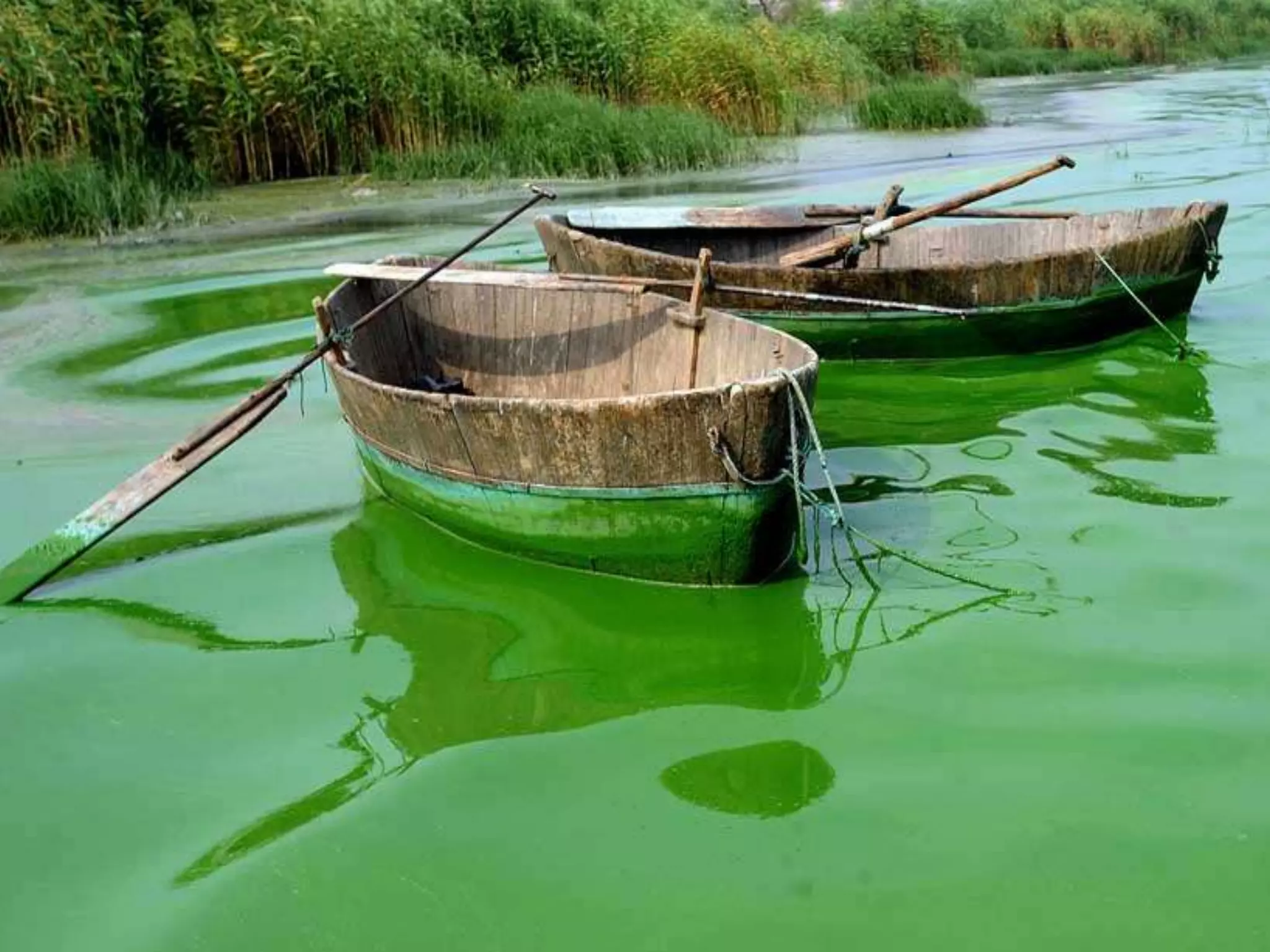 God Gifted Beautiful Nature | PPSX