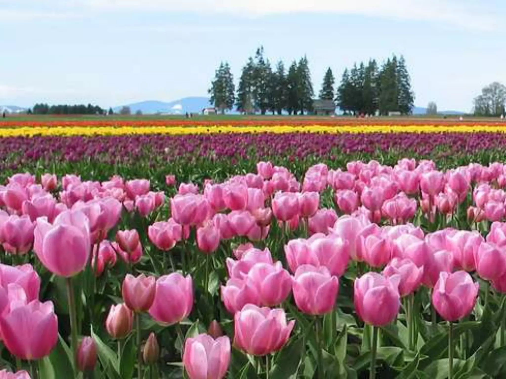 God Gifted Beautiful Nature | PPSX