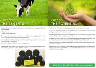 Good Grass Guide.pdf