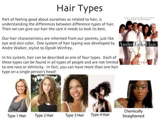 3b Hair Chart