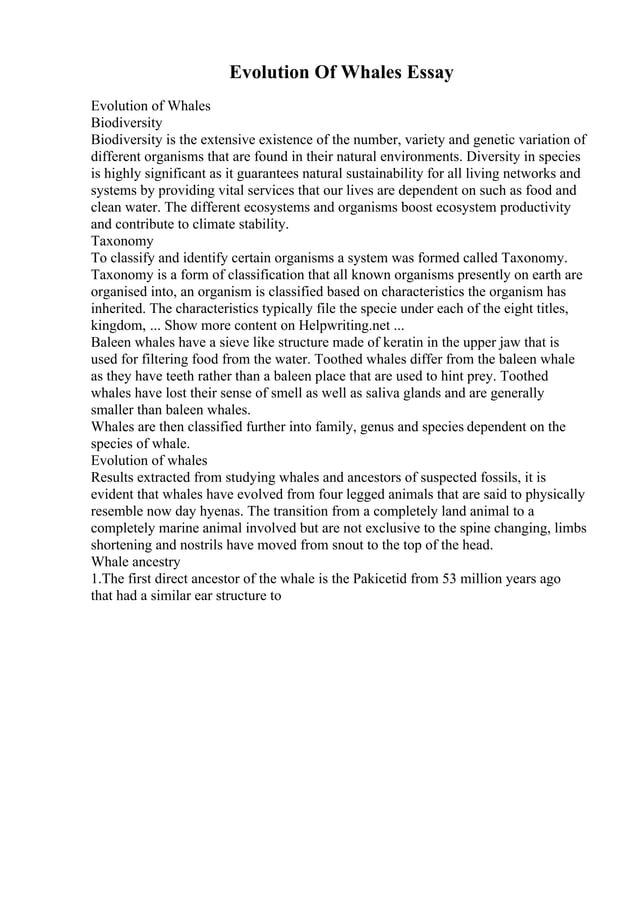 Good High School Essay Examples | PDF