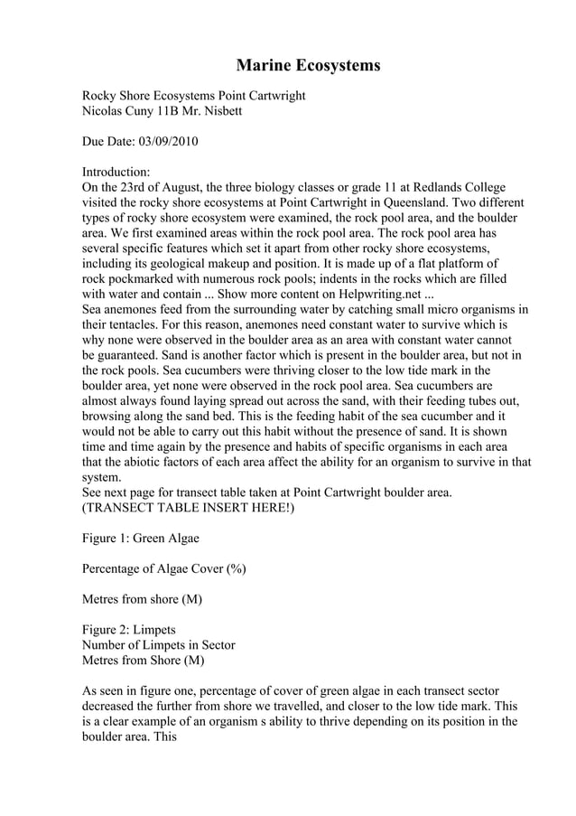 Good High School Essay Examples | PDF