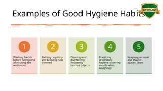 Good Hygiene Habits with Sterloc | Safe Protection Powered by HOCl.pptx