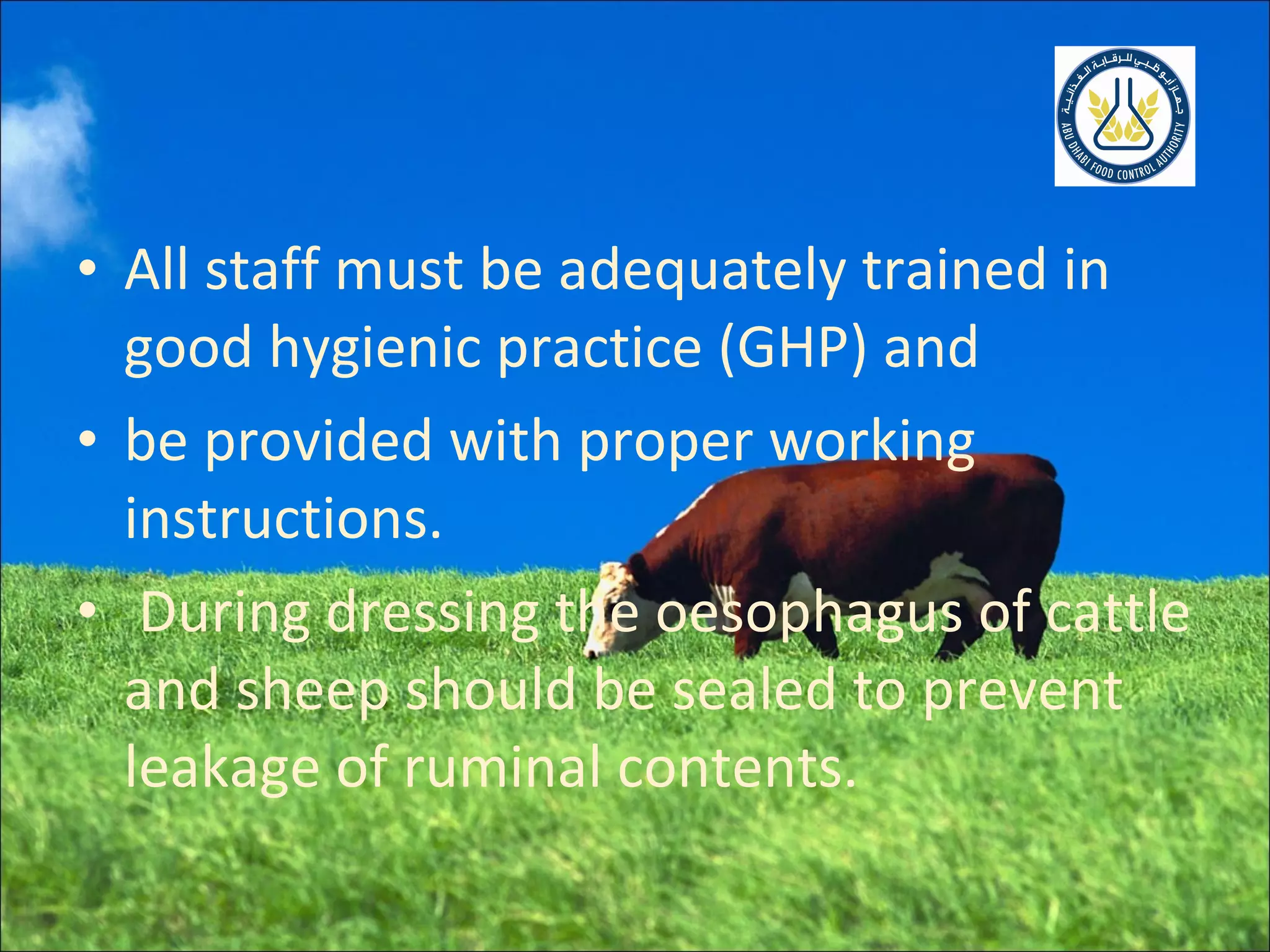 Good Hygiene Practices | PPT