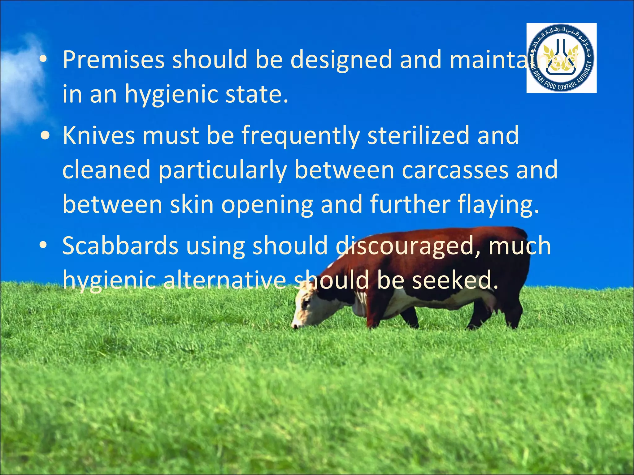Good Hygiene Practices | PPT