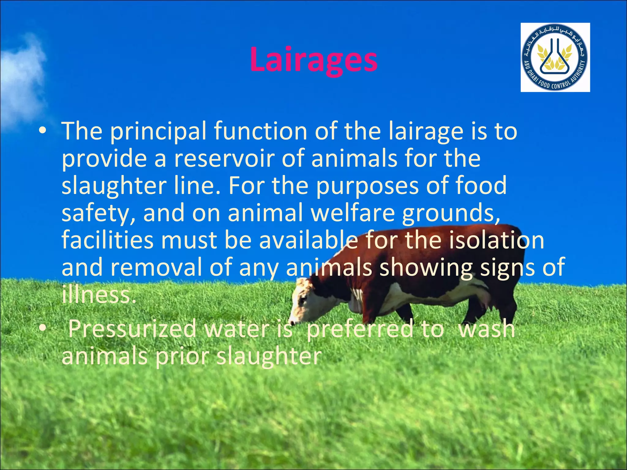 Good Hygiene Practices | PPT