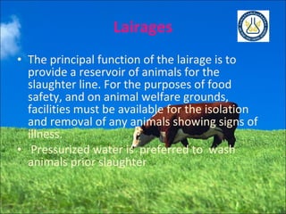 Good Hygiene Practices | PPT