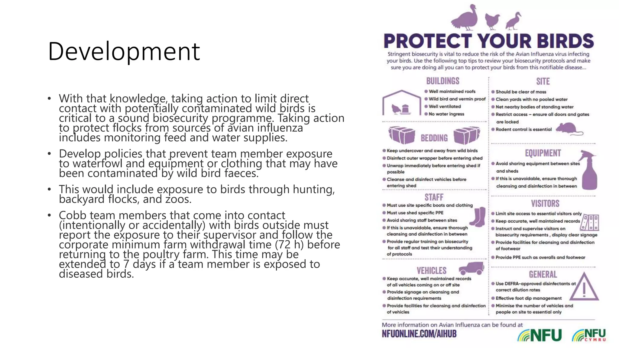 Good Management Practices.pptx