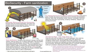 Good Management Practices.pptx