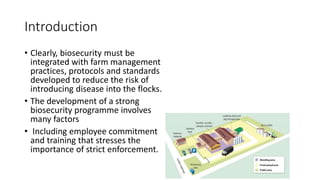 Good Management Practices.pptx